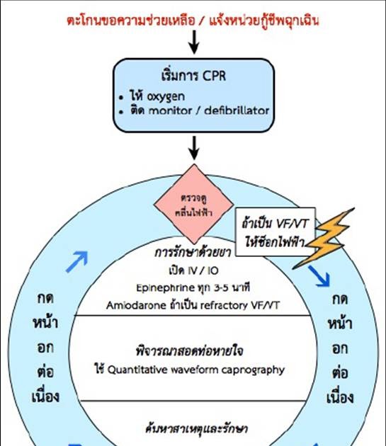 Phimaimedicine: 1,264. แผนภูมิวงกลม Advanced cardiovascular lift ...