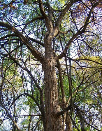 The Small Hold - Will Not Go Down Without a Fight: Sunday Reading ...