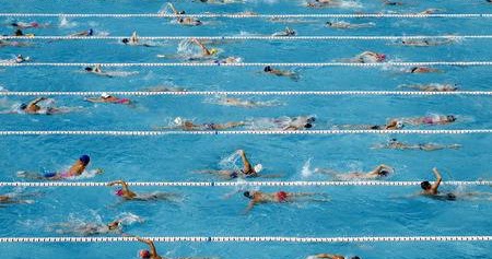 Tri-Banter: A Users Guide to Circle Swimming