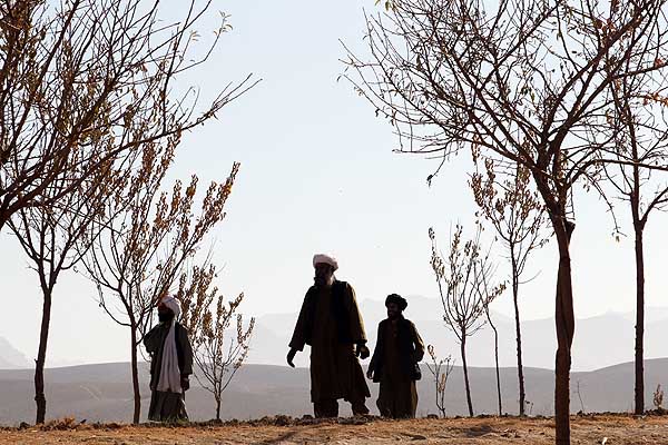Pashtun Valley: Oruzgan Province of Afghanistan