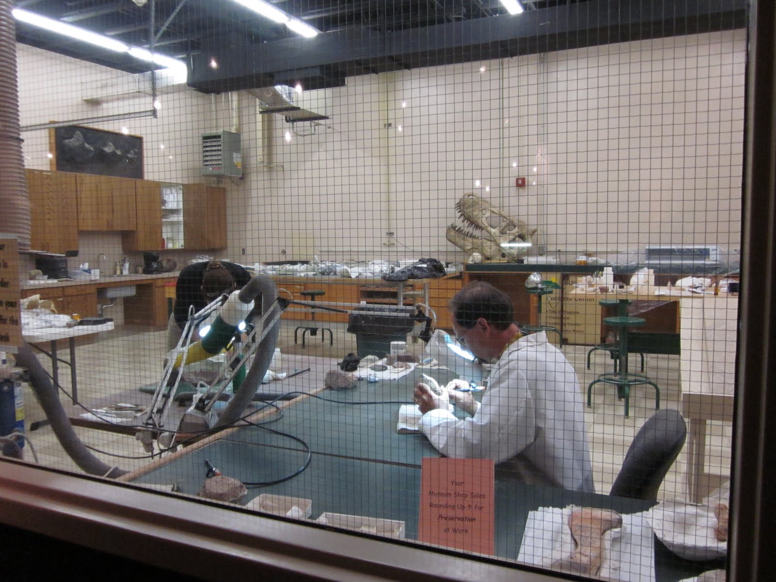 Chicago to Phoenix: Dino Museum - Lab