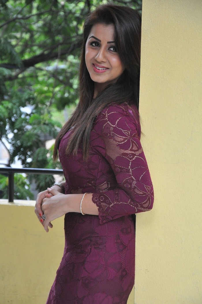 Actress Nikki Galrani In Brown Dress Awesome Photos