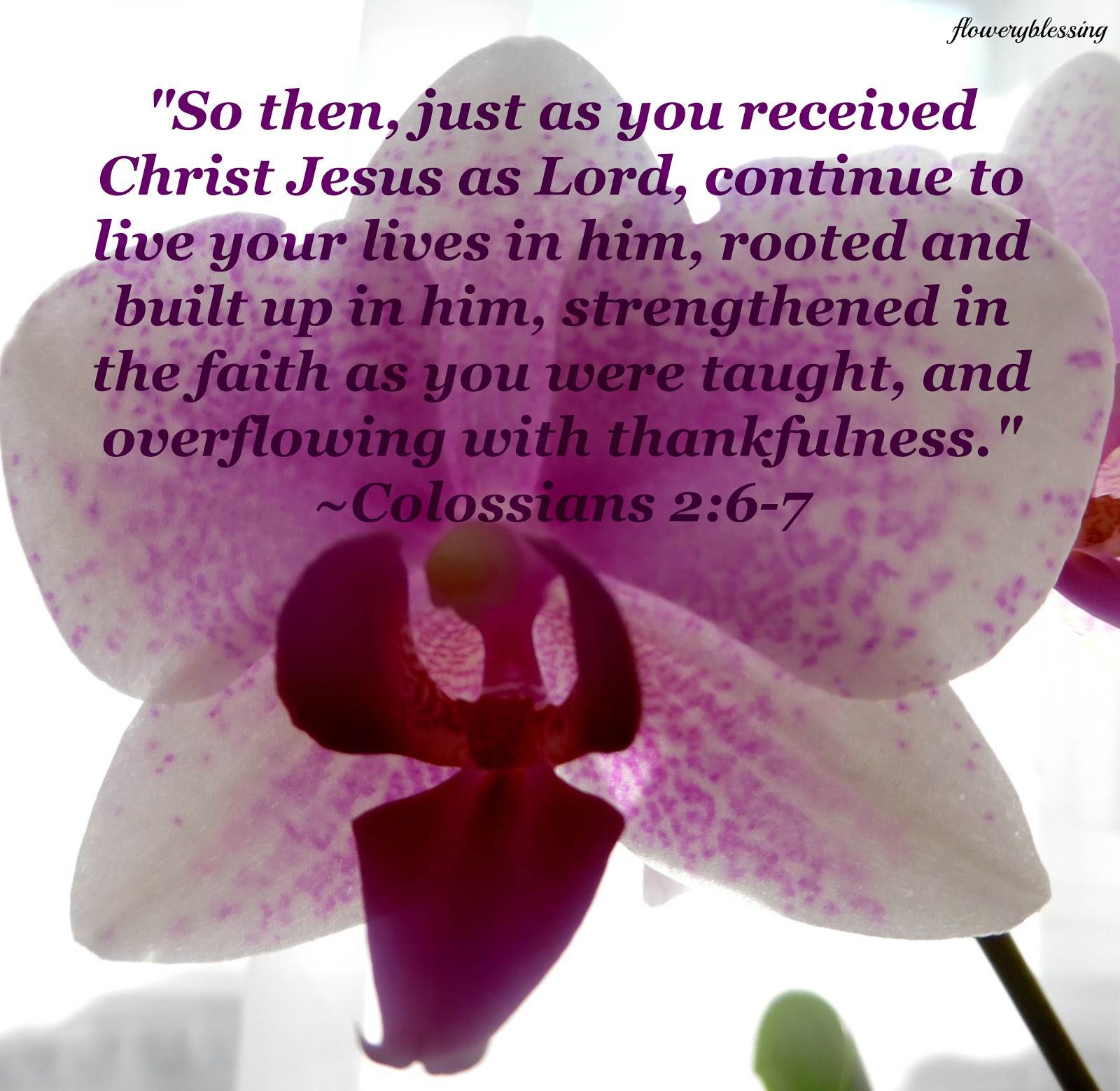 Flowery Blessing: "So then, just as you received Christ Jesus as Lord ...