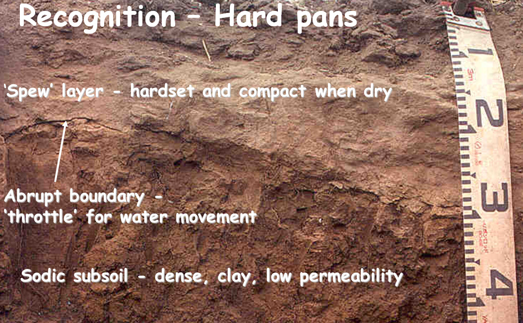 Earth's Internet & Natural Networking: Wastelands to Wonderlands - Part II