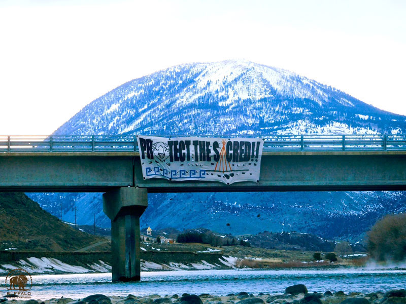 White Wolf : Activists hang banner In Protest of 1500 Yellowstone Bison ...