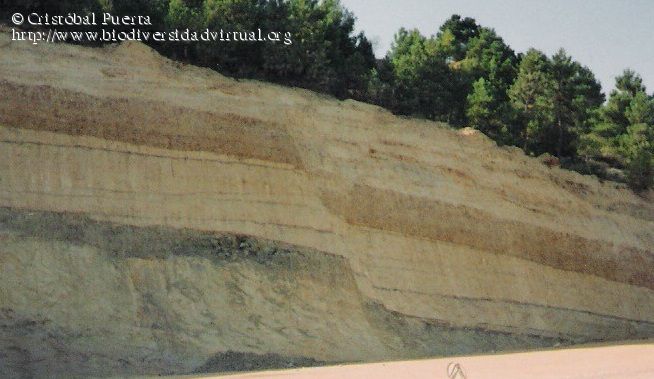 Ciencia con Javier.: Deformaciones de las rocas.