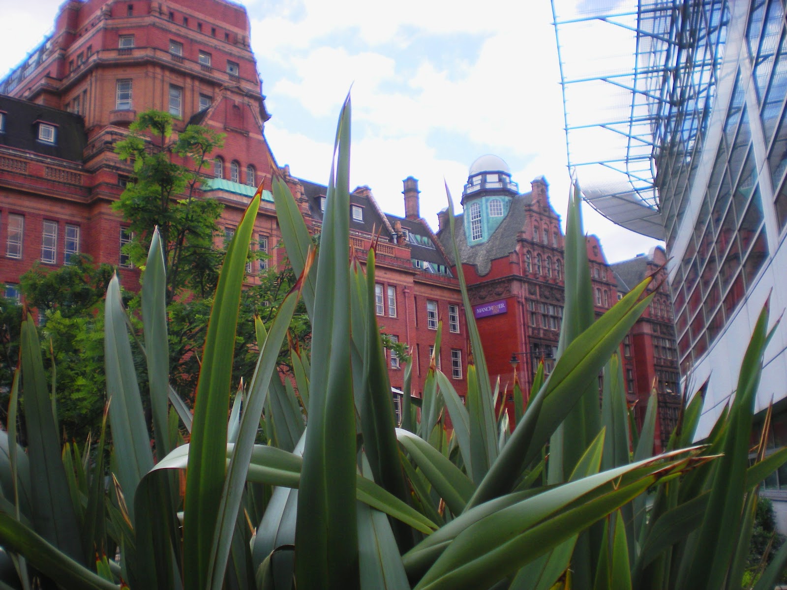mancunian wave: Goodly Godlee Observatory
