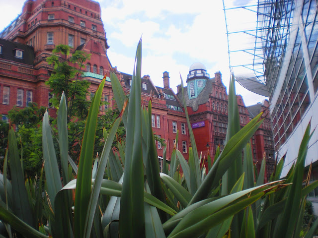 mancunian wave: Goodly Godlee Observatory