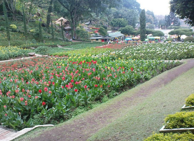 TAKJUB INDONESIA: Taman Rekreasi Selecta Batu