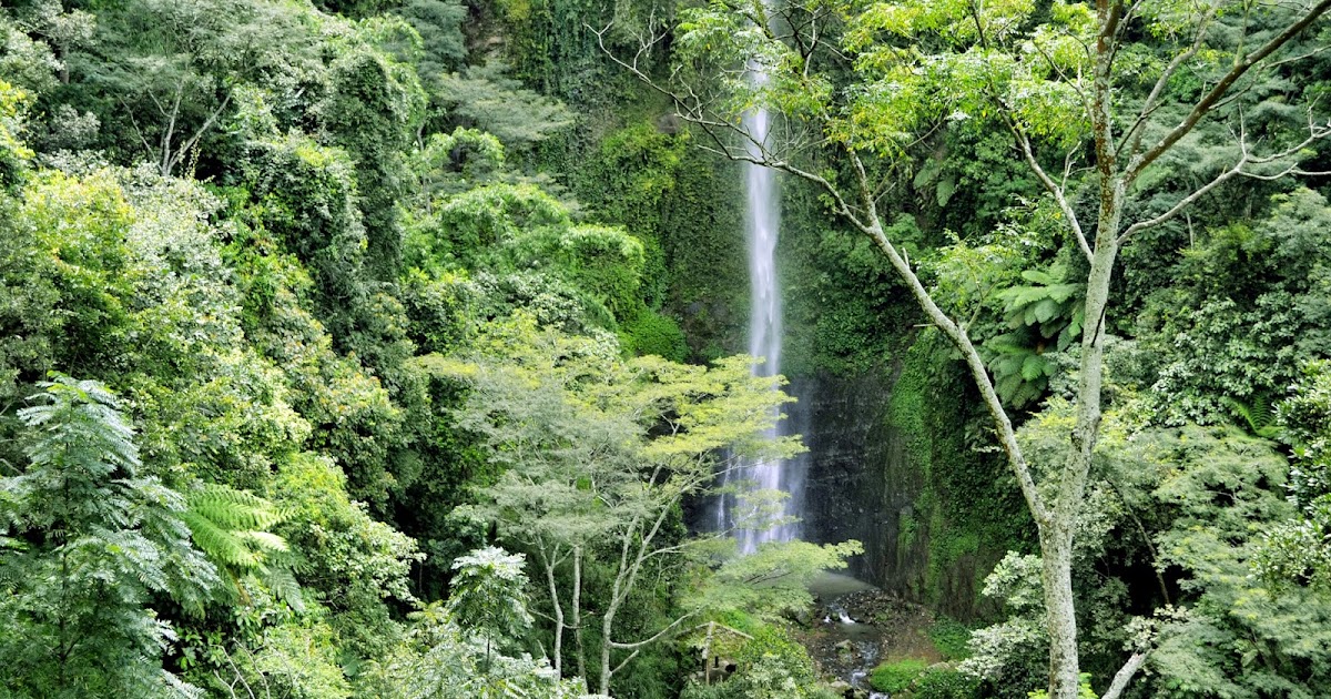 Hidden Paradise in Indonesia