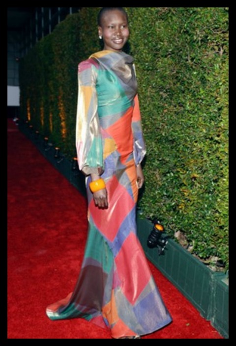 World Of fashion: Supermodel : Alek Wek