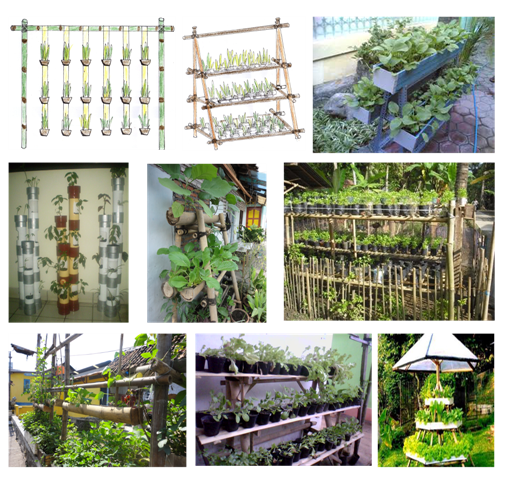 Berbagi Ilmu: Teknik Vertikultur, definisi dan keunggulan