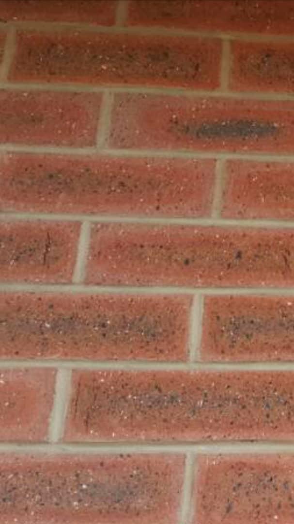 Pictures of South African Bricks