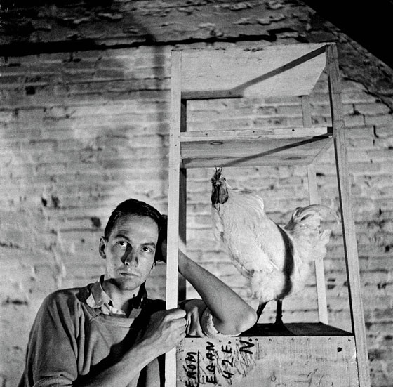 Harvey Benge: Robert Rauschenberg - photographer