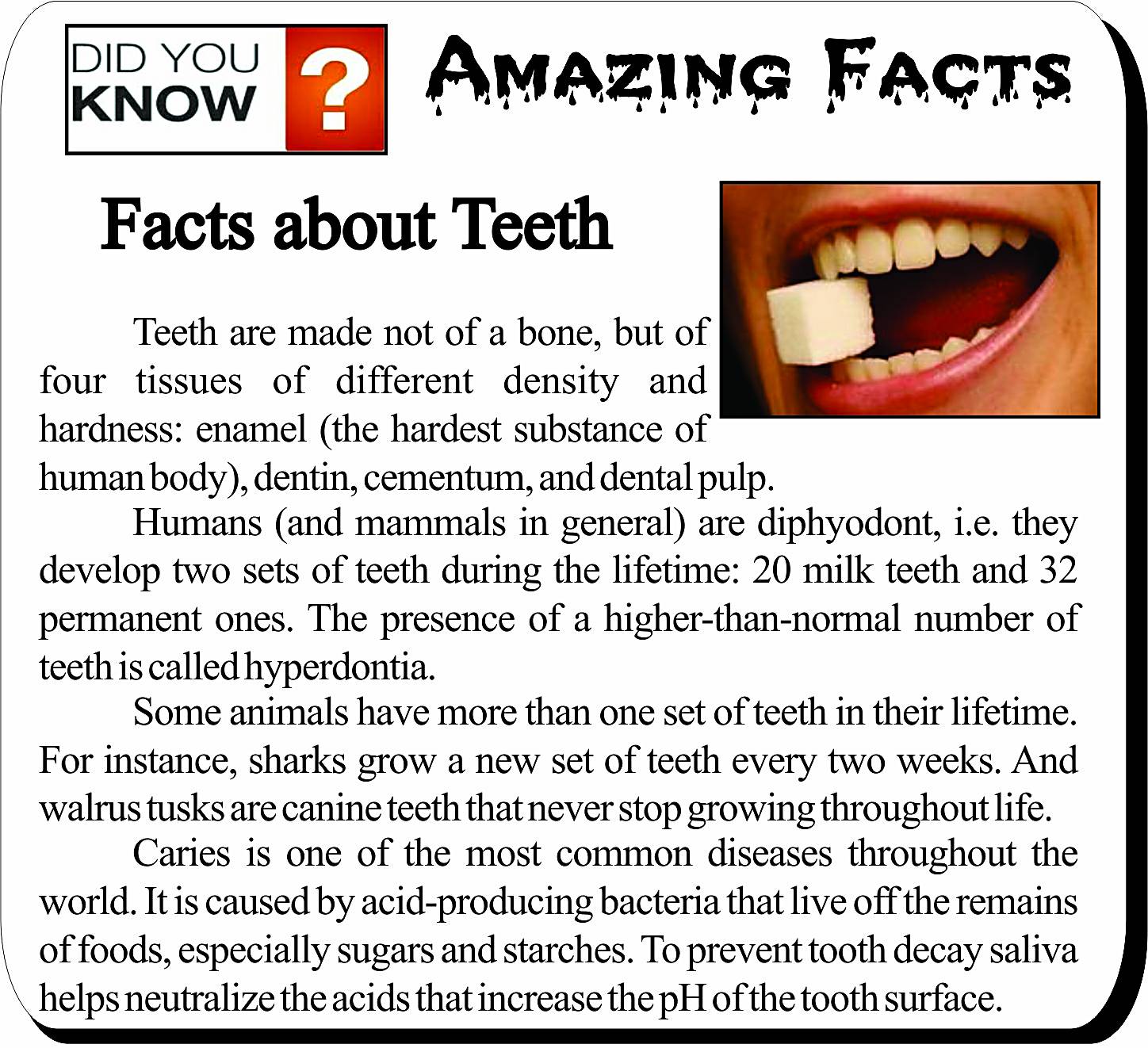 10 Amazing Facts About Teeth Q1 Dental - Bank2home.com