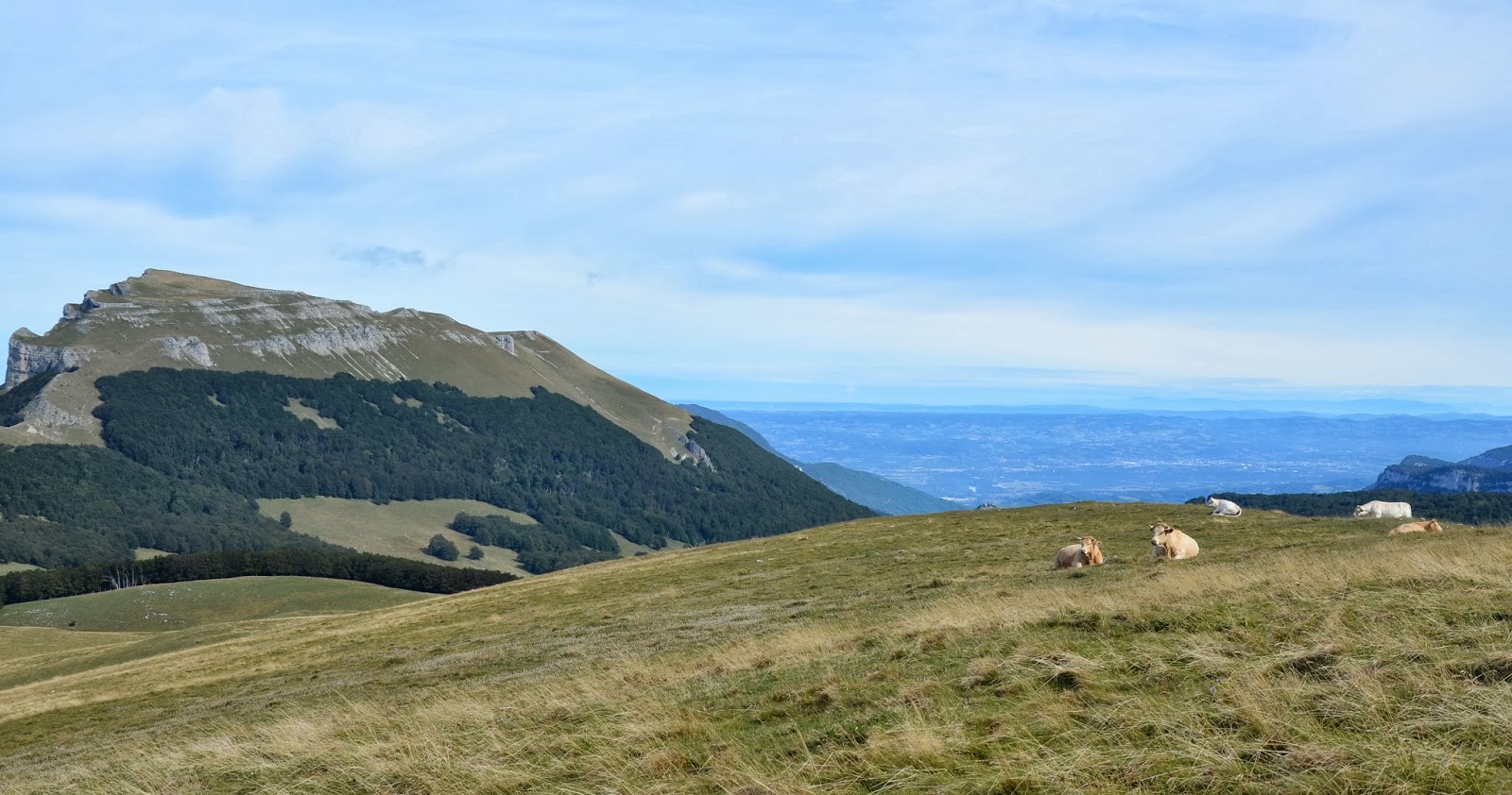 Balades au cœur du Dauphiné: Tête de La Dame sur le Plateau d'Ambel