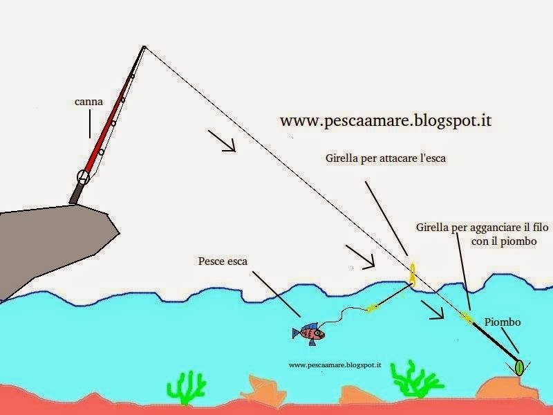 La Pesca con la "TELEFERICA" | uno squalo in blog