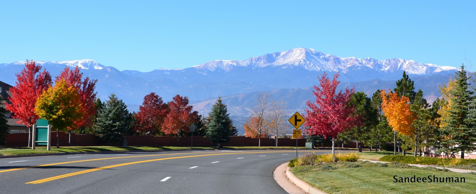 Shustrings: Fall in Colorado Springs