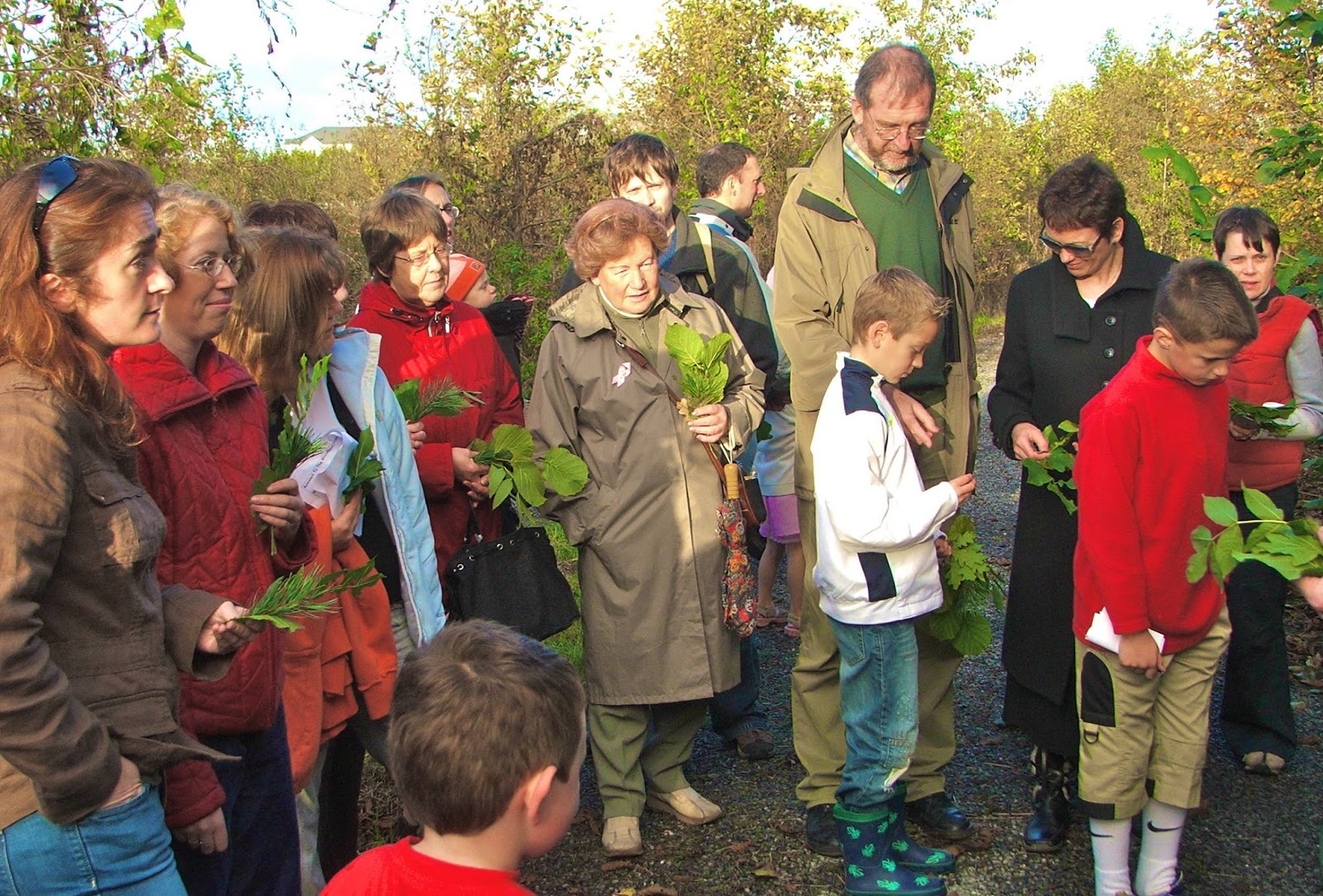 Speedie's Blog: Native Tree Detective Walk on Culture Night (Sept. 20th)