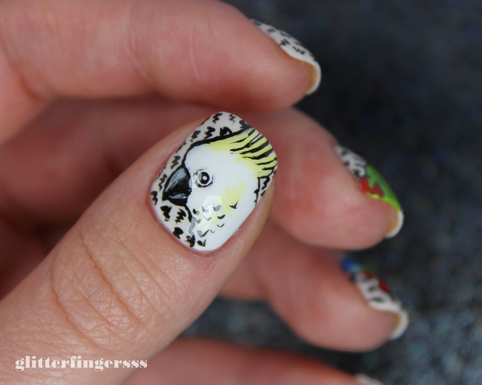 NAIL ART | Parrots ~ Glitterfingersss in english