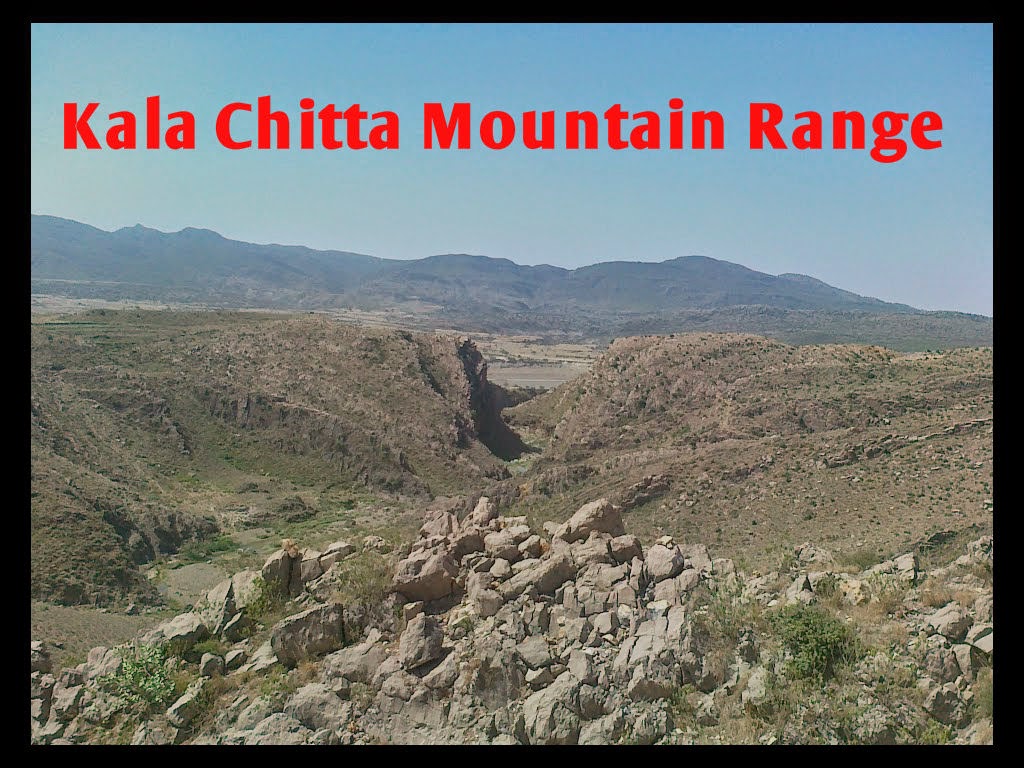 Spreebird: Kala Chitta Mountain Range