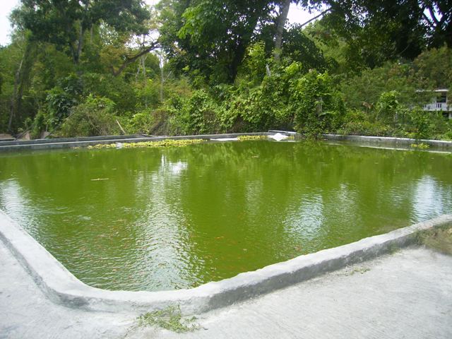 Jenis-Jenis Wadah Budidaya Ikan