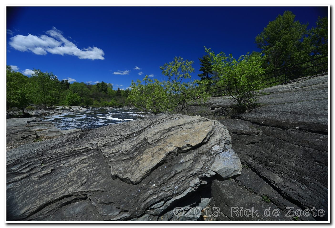 All Nature Sings: June 2013