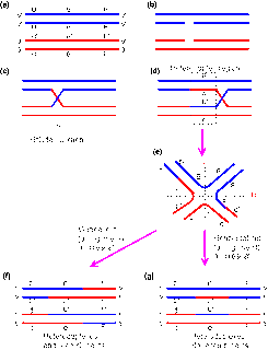Holliday Junction = Party Function