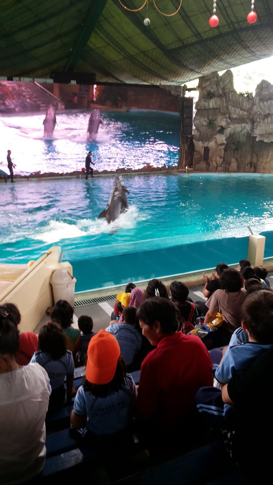 Jakarta News : Ocean Dream Samudra Ancol