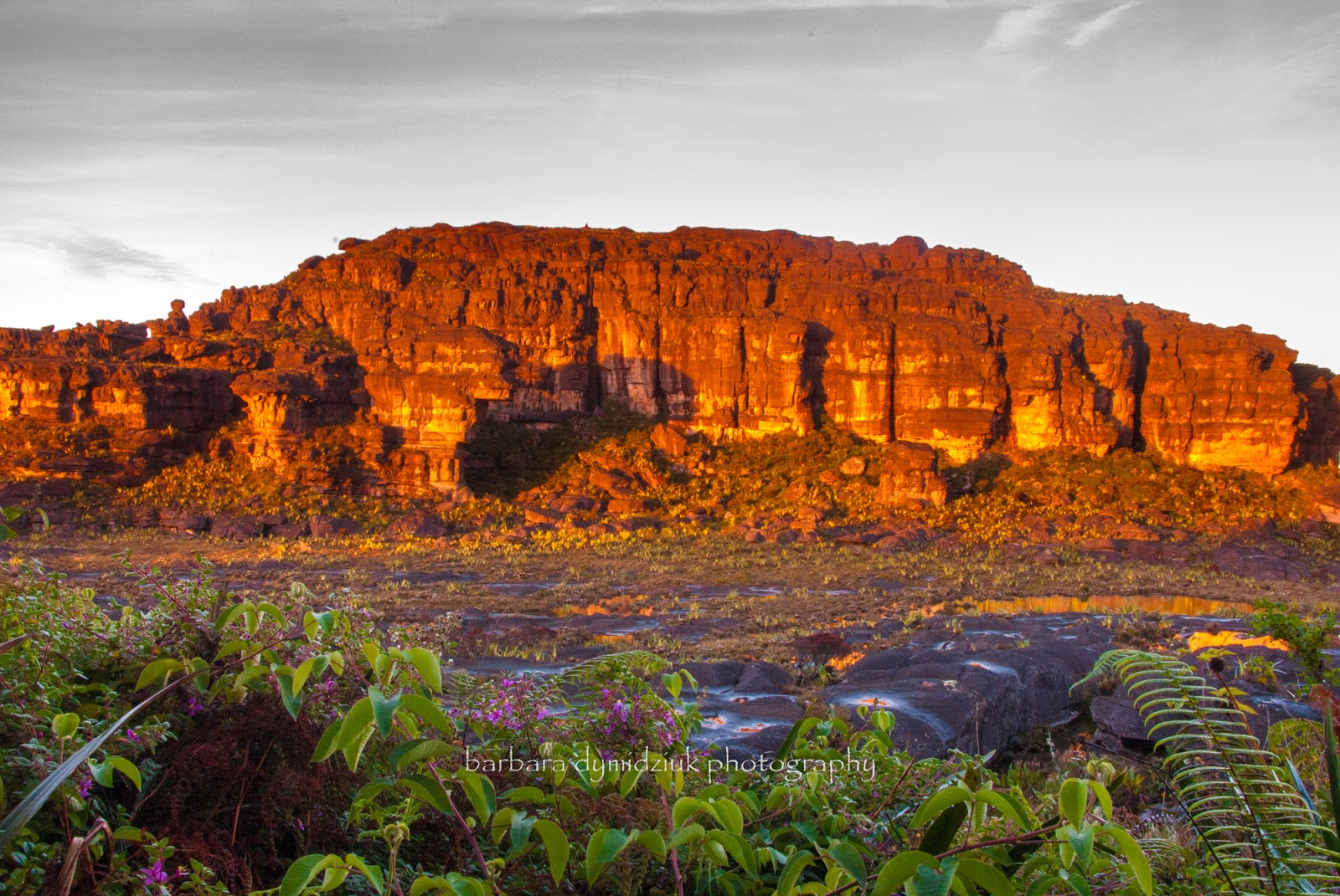 barbara dymidziuk photography: Wenezuela / Venezuela