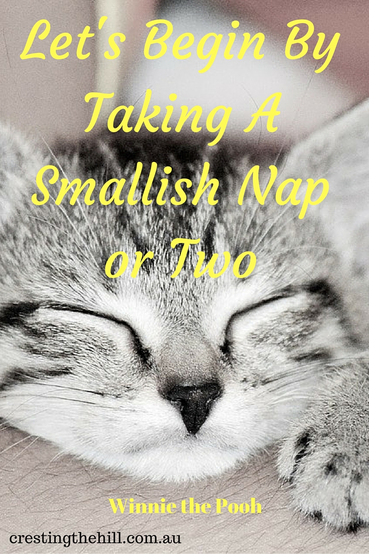 LIFE LESSON FROM MY CAT #1 - NAP OFTEN - Cresting The Hill