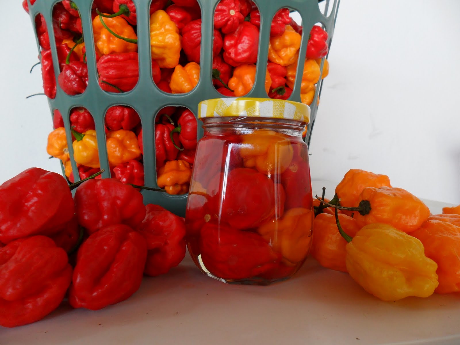 Brasil Pimentas - Pimentas do Brasil e do Mundo !: CONSRVA PIMENTA ...