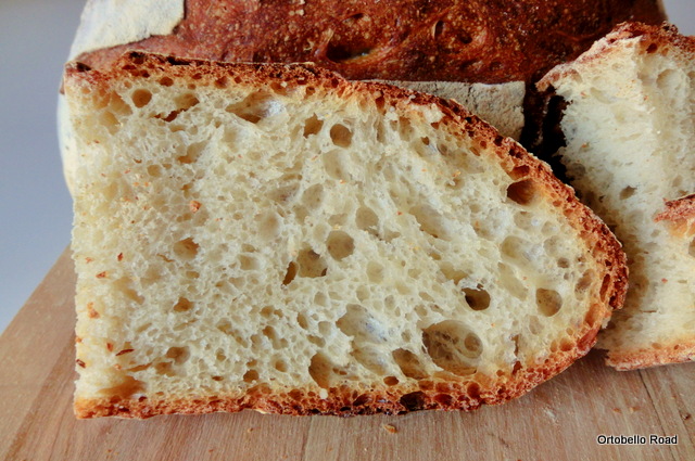 Pan di Pane: Ricetta Pane di semola rimacinata di grano duro, con ...