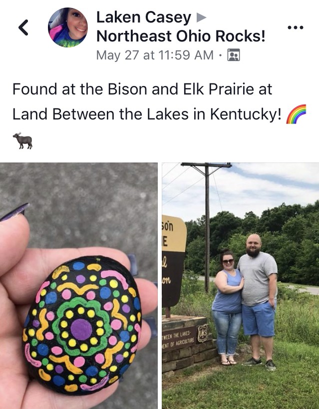 Northeast Ohio Rocks!: Northeast Ohio Rocks! in all 50 States Volume 5