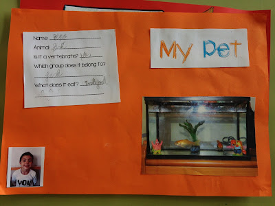 SCIENCE IN THE SCHOOL: My Pet