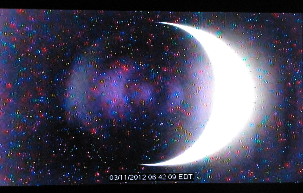 Lome Marsupial/Leemonster creations: March 2012