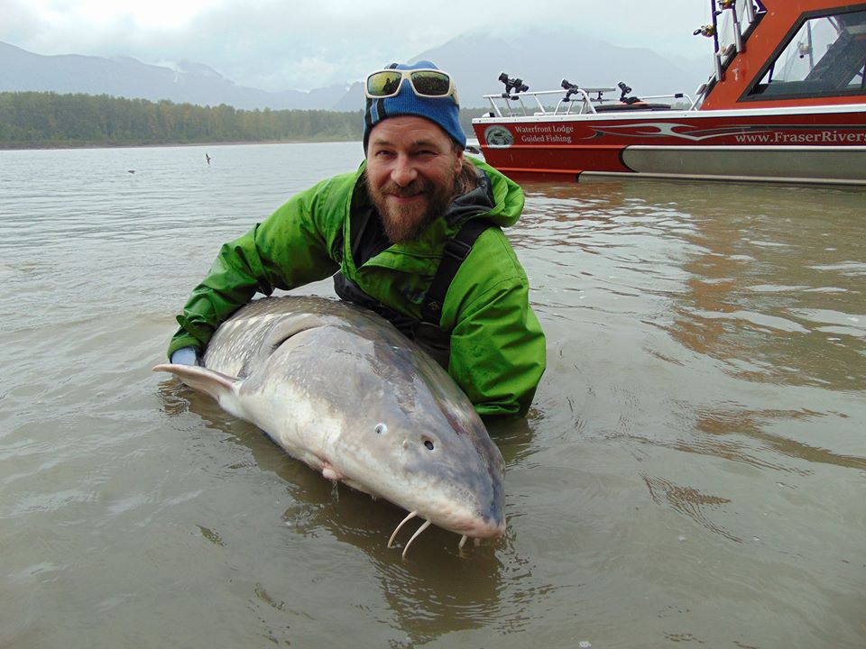 katkatwoman: Τα ψηφιδωτά του CHRIS SUMKA - Chris Sumka 's mosaics