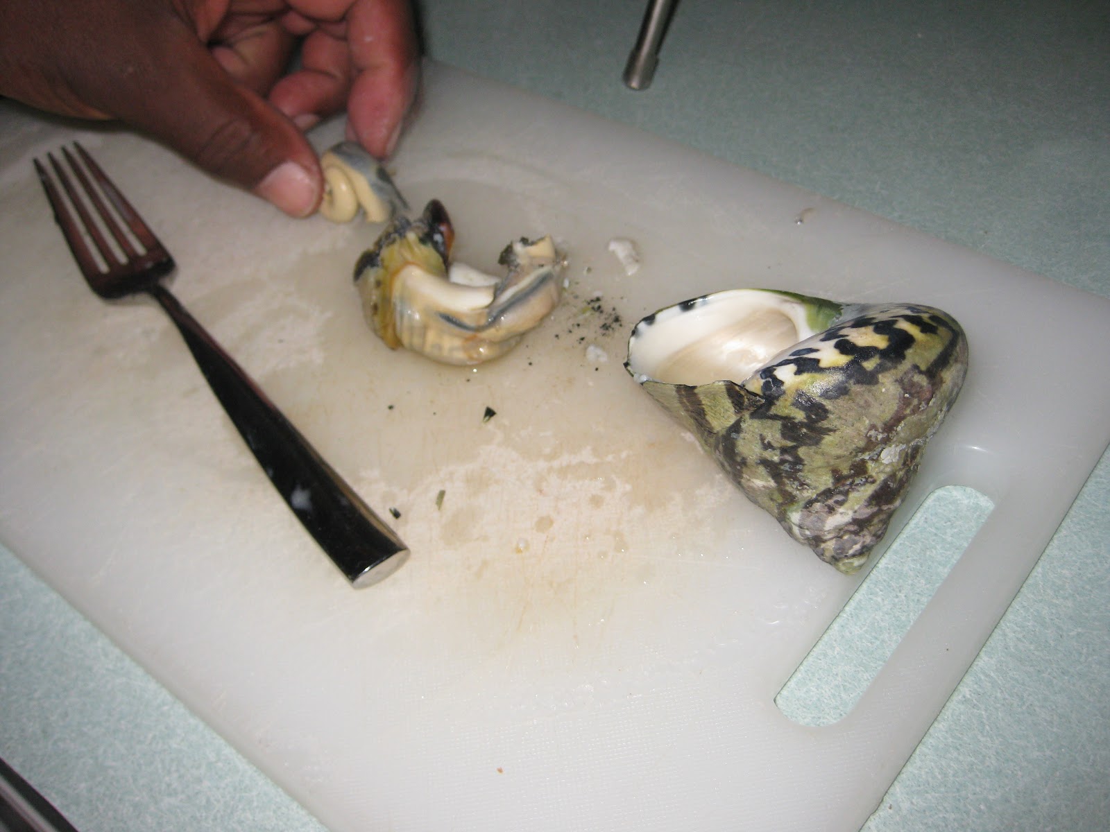 Choosing The Better Life: Hunting Large Sea Snails