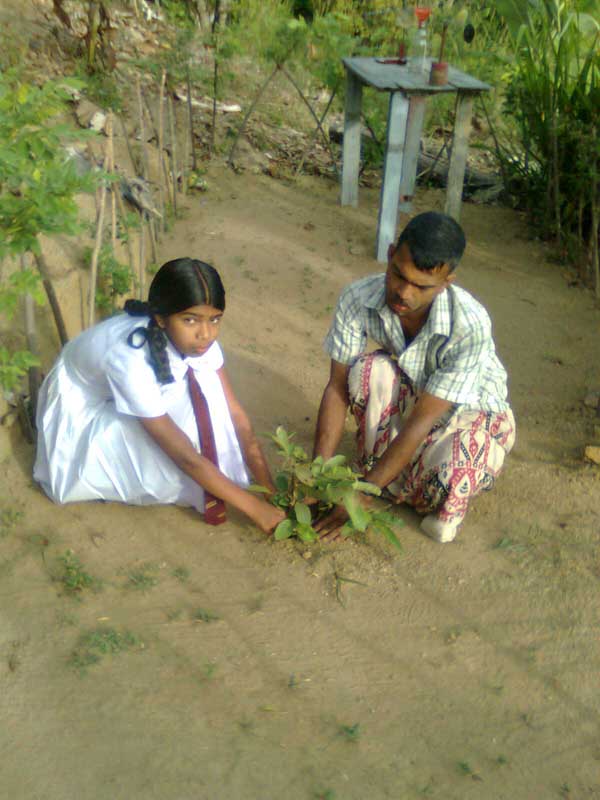 BEST ENVIRONMENT FRIENDLY SCHOOL IN BADULLA