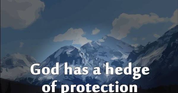 Meanderings of My Mind: A hedge of protection