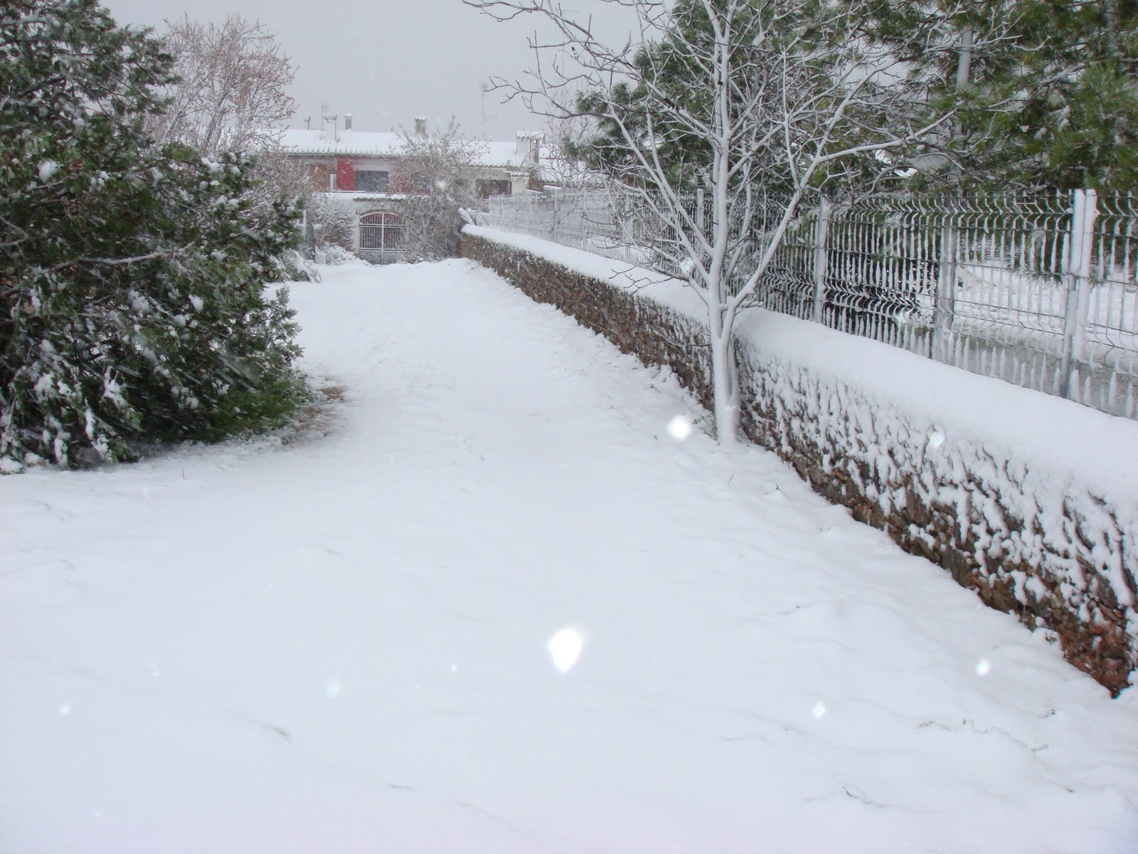 Que! paisajes!: Nevando