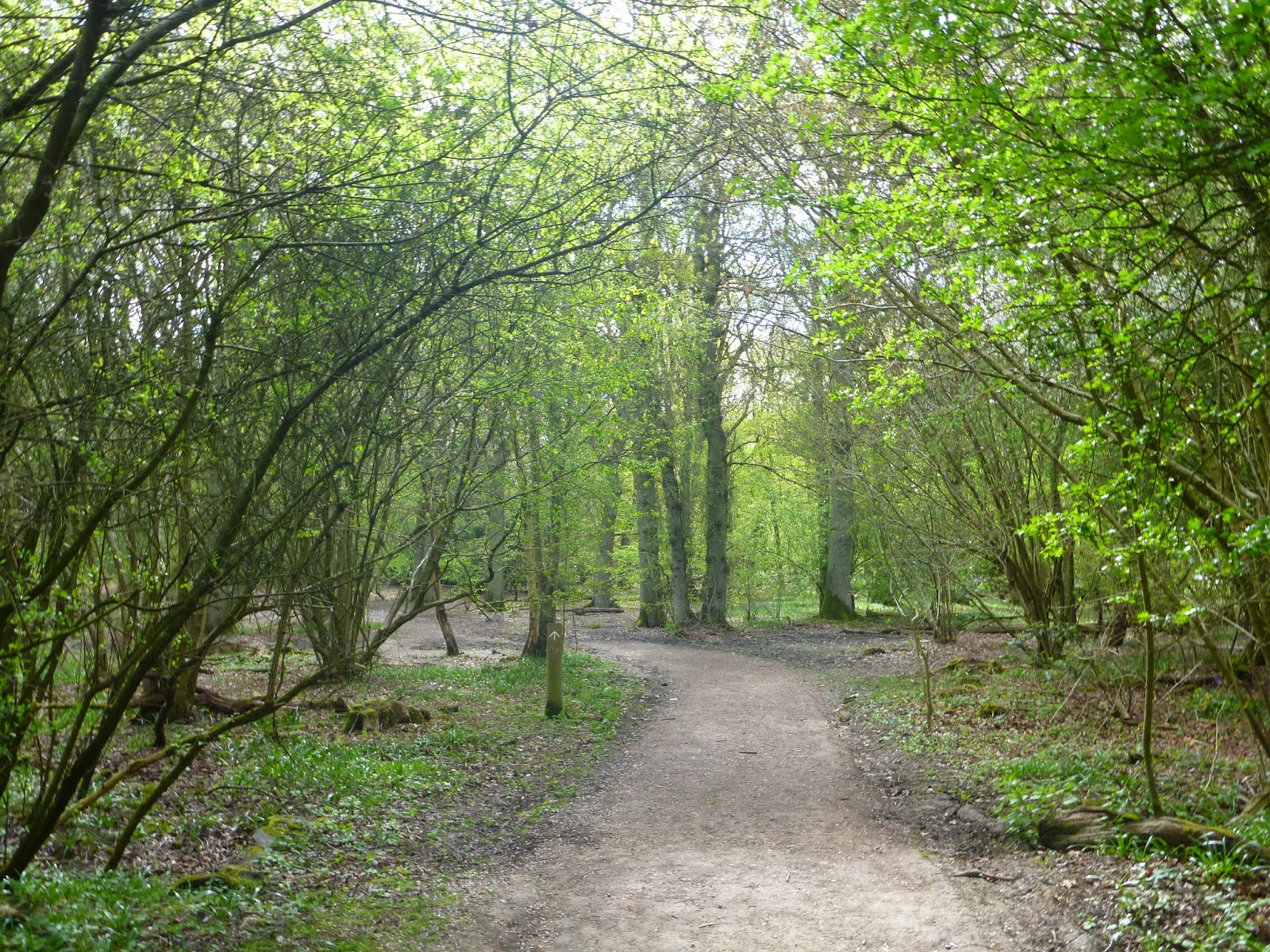 A Place Called Space: Ryton Woods