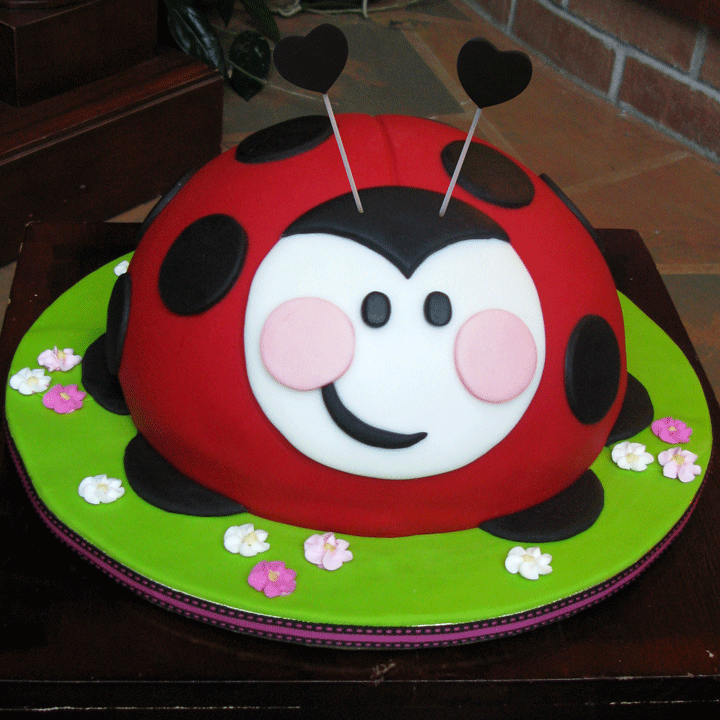 Themed Cakes, Birthday Cakes, Wedding Cakes: LadyBirds Themed Cakes