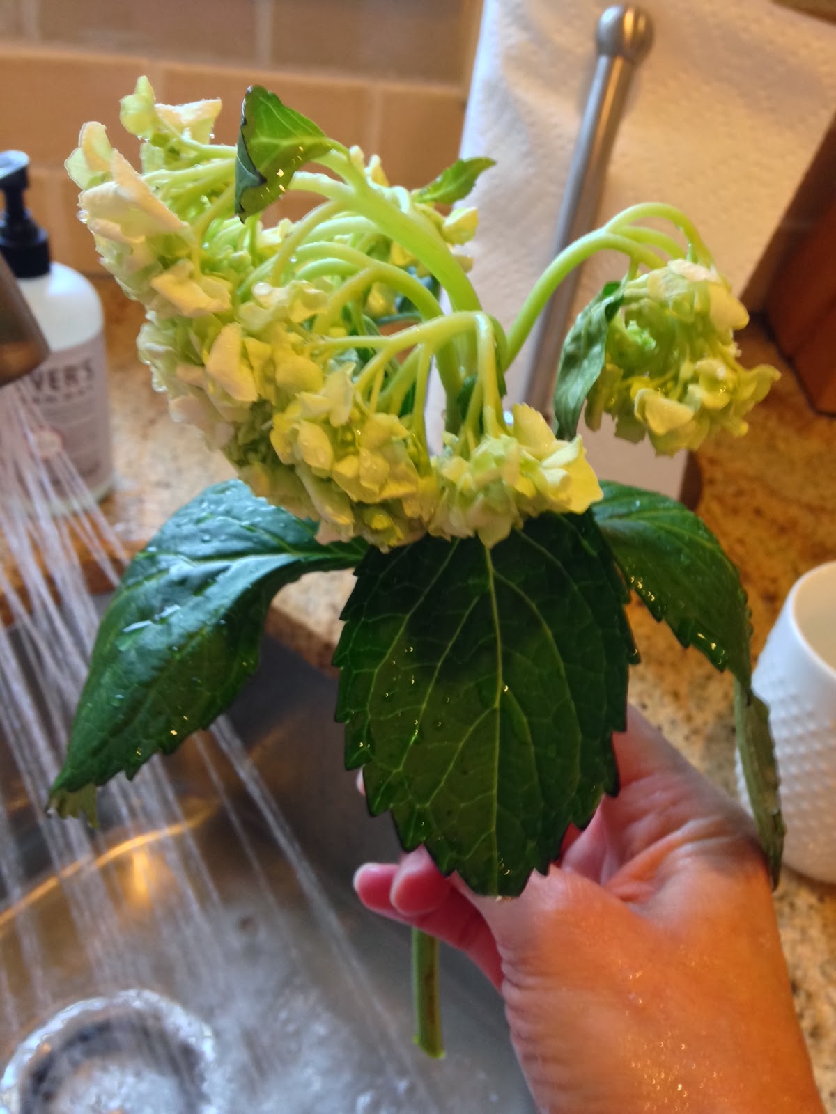 My Interior Life: Resurrection