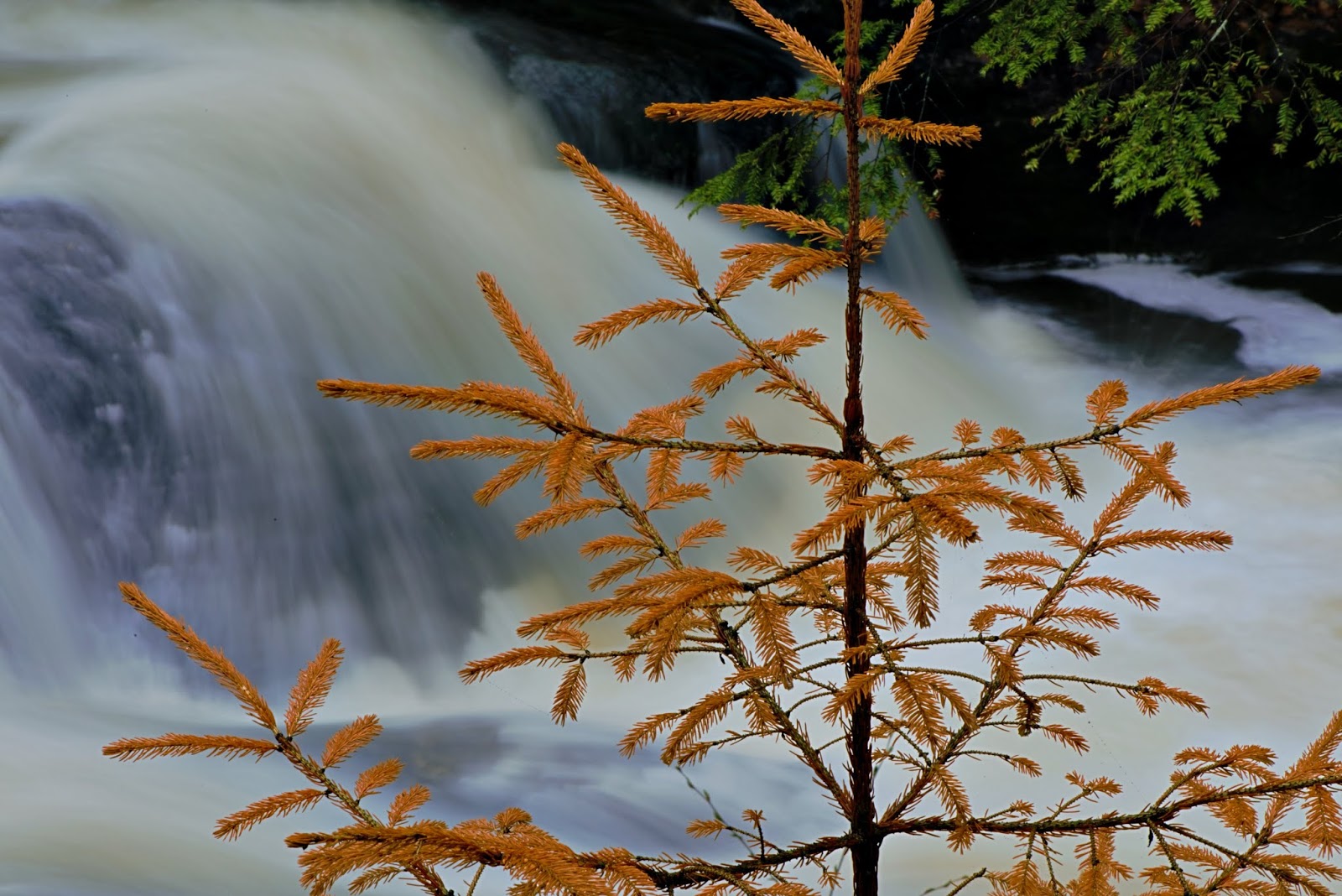 Den'sphotogallery: Gleason Falls