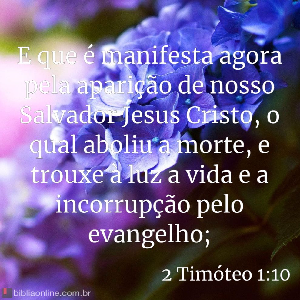 .: 🌞 2 TIMOTEO 01 10 (Devocional)