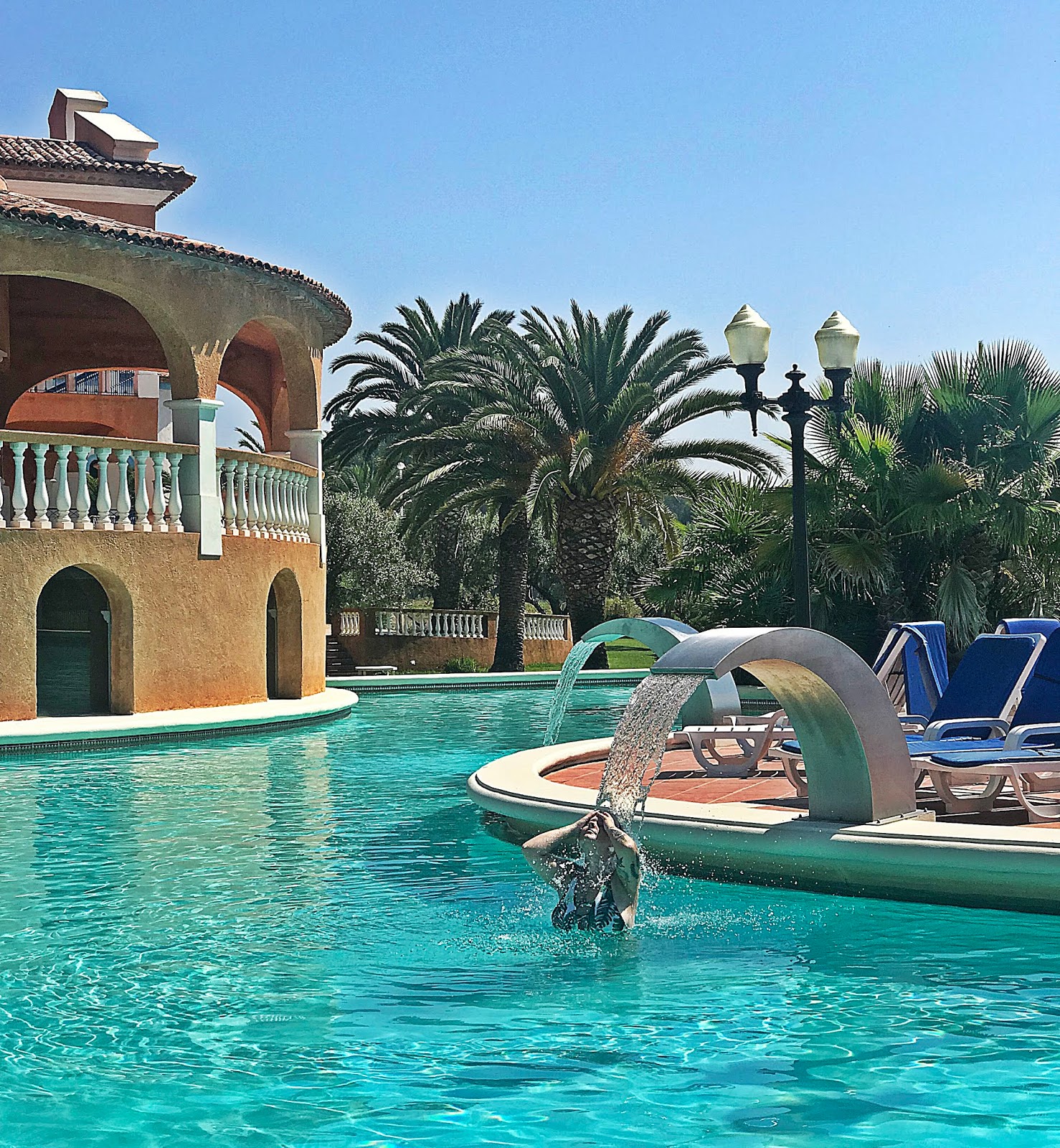 Uma viagem até à Herdade Lago Real, Mira - Black rose by annluck