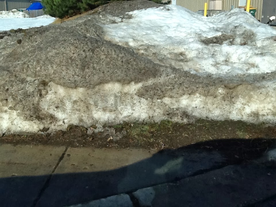Lawn*Doctor Lawn Care Insights: Winter salt and plowing damage to lawns
