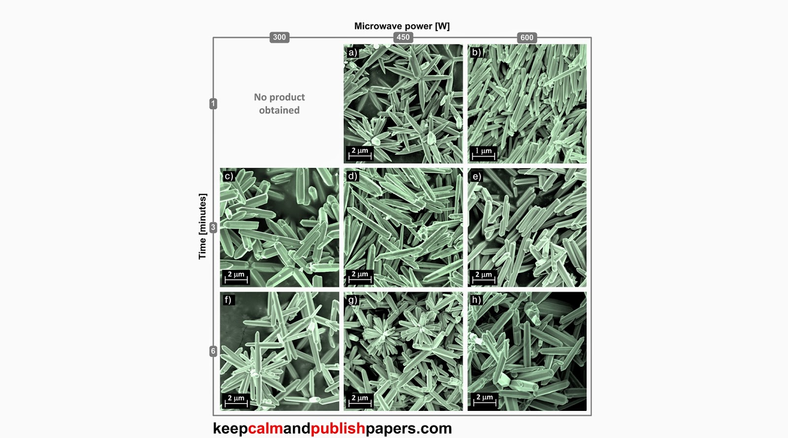 Keep Calm and Publish Papers: How to combine many SEM images into one ...