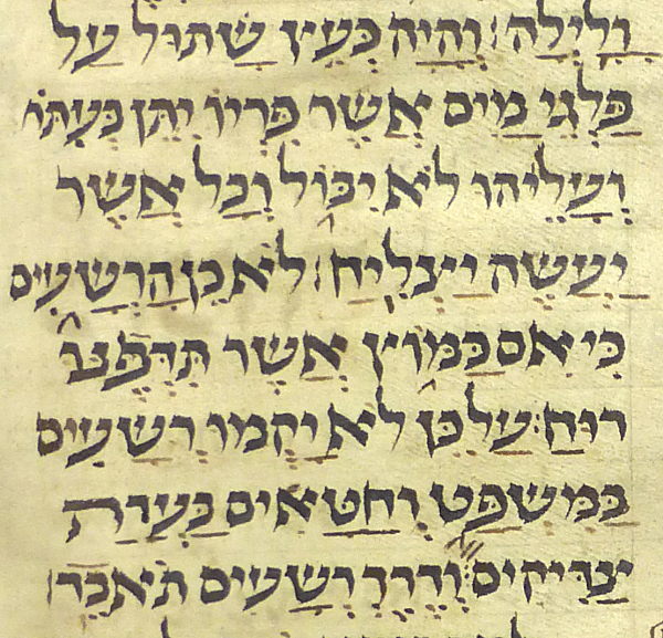 500 Years of Treasures from Oxford: The Psalms in Hebrew and Latin